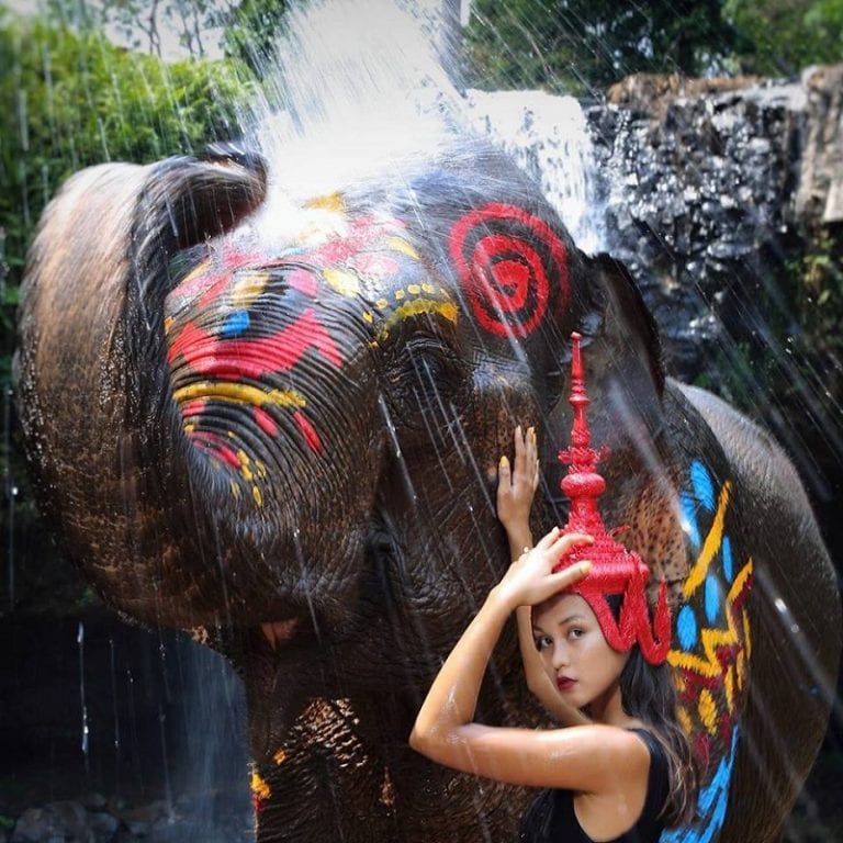 Airavata Elephant Foundation | See Asia Differently